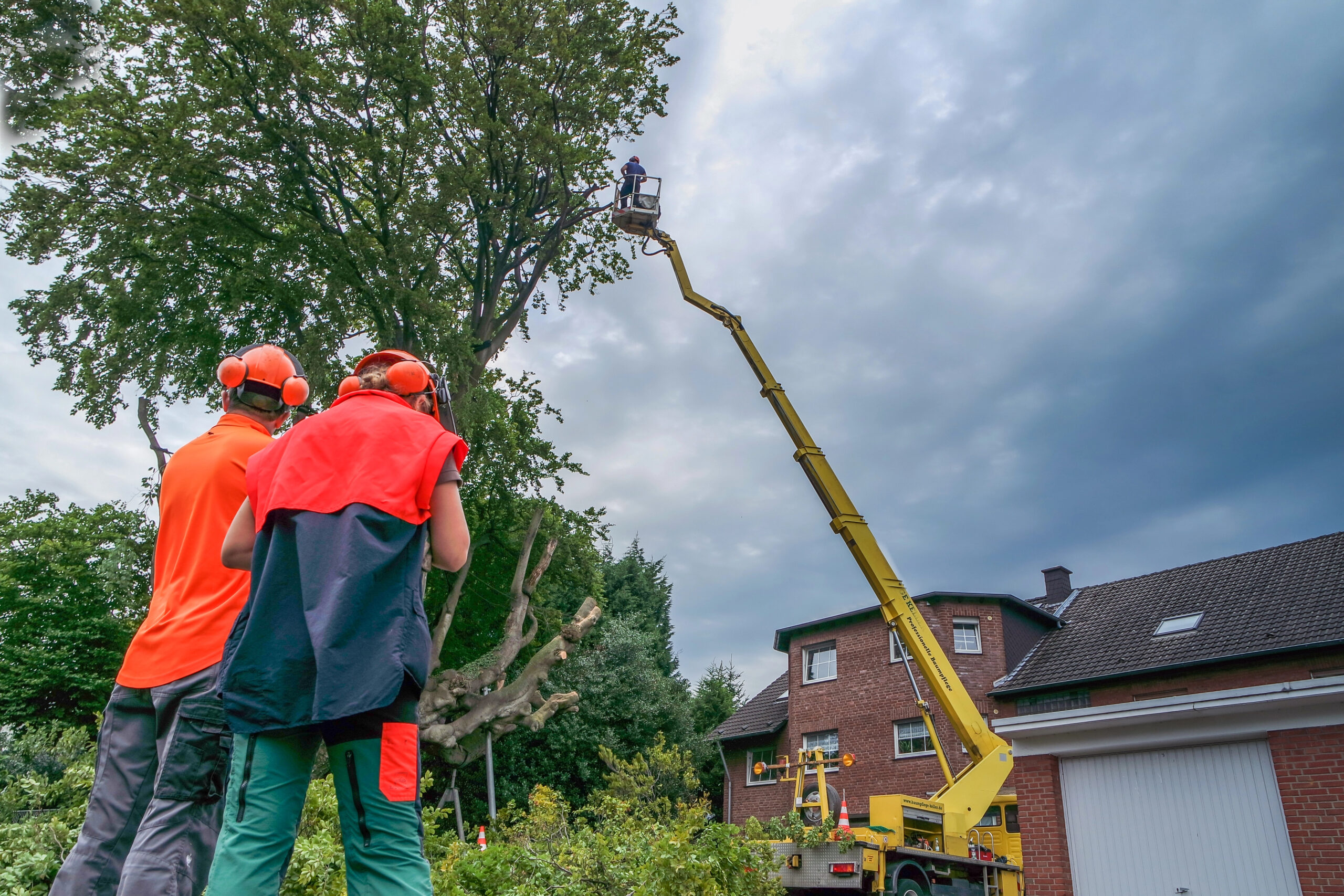 Value Drivers for a Tree Service Business - Peak Business Valuation