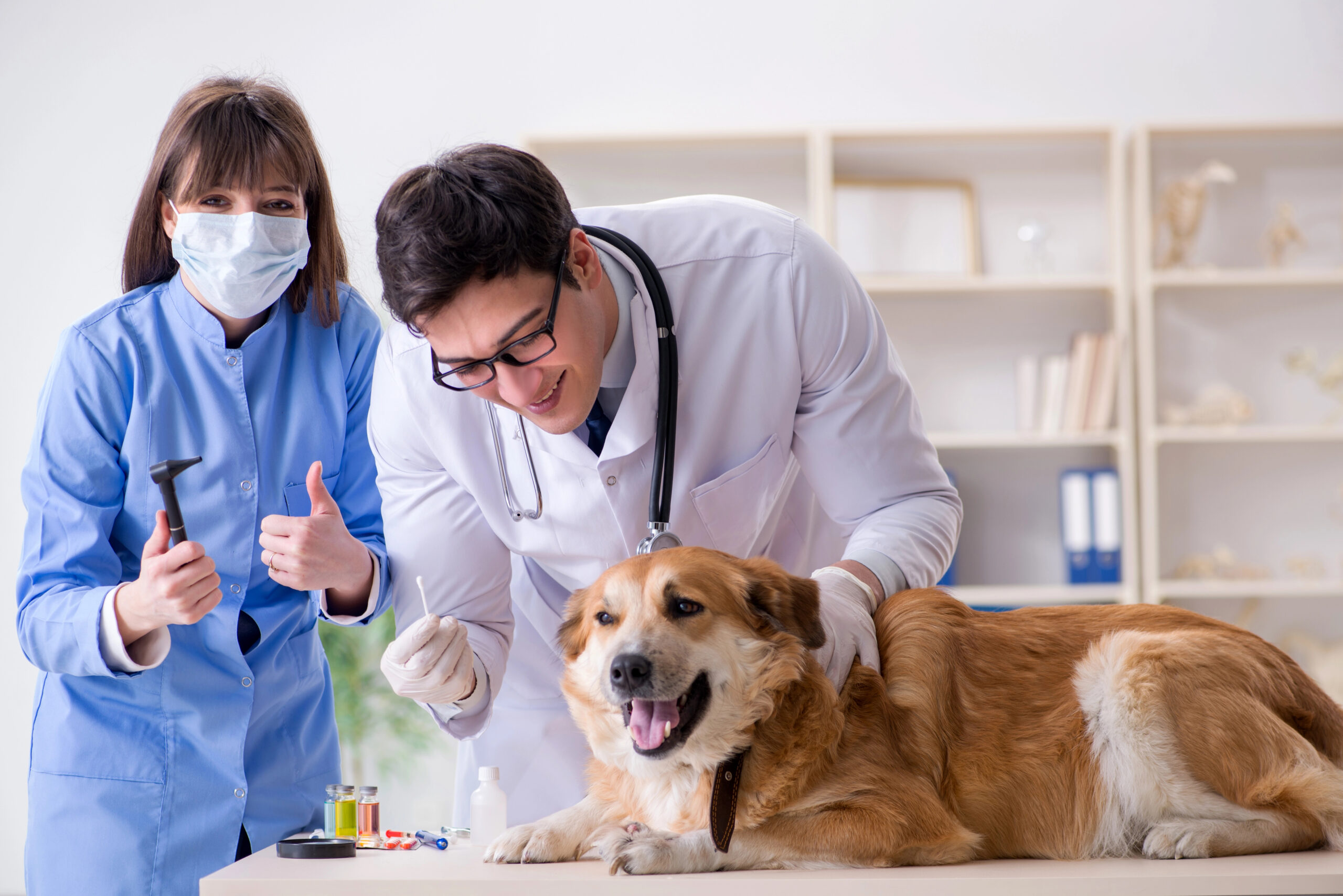 Veterinary Equipment Appraisals - Peak Business Valuation
